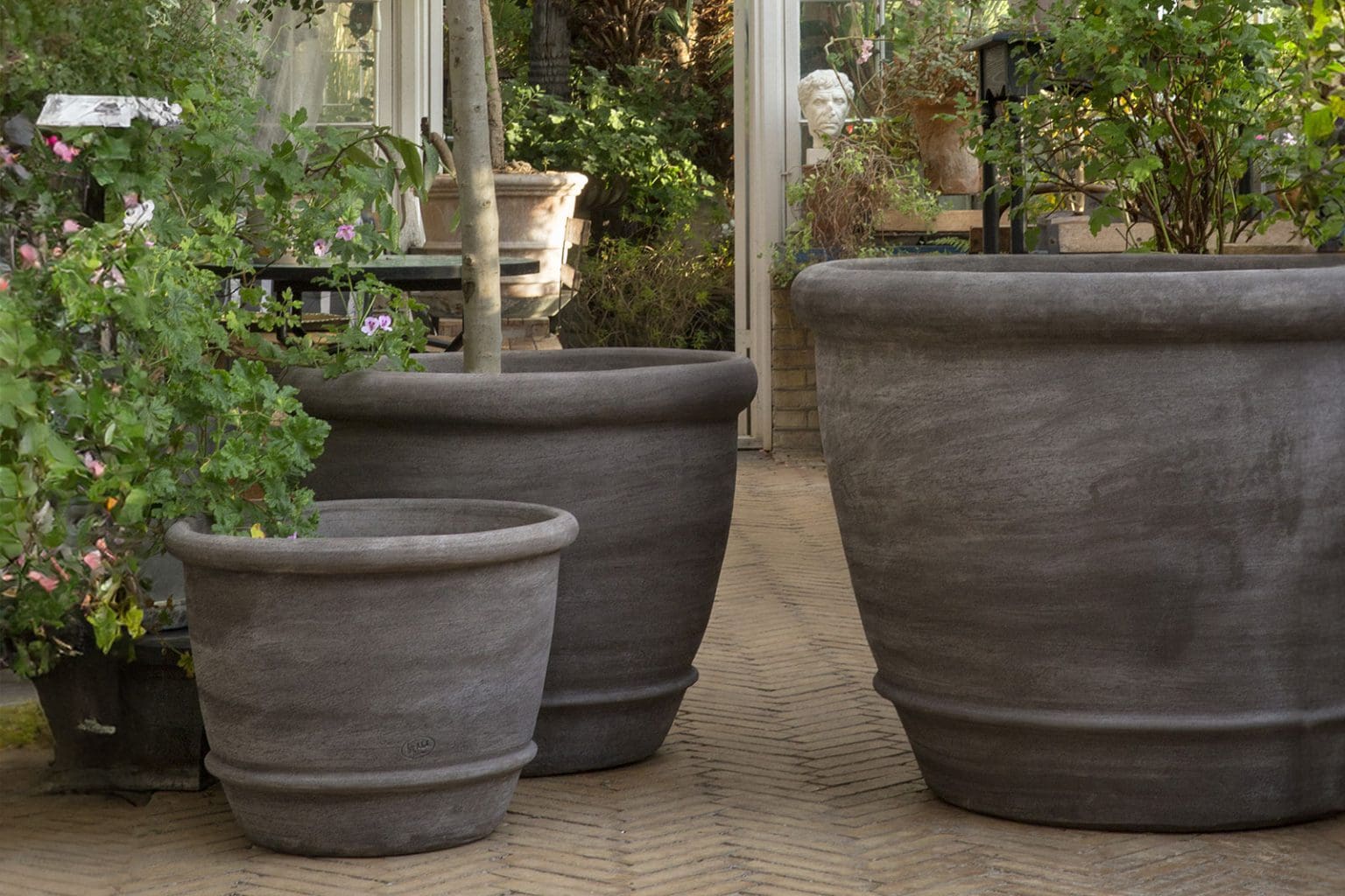 Bergs Potter Collections: Explore Our Pottery Designs and Planters