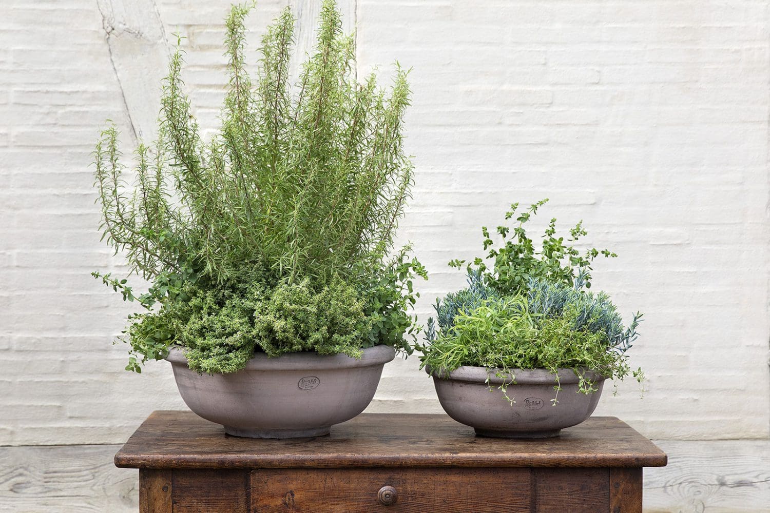 Bergs Potter Collections: Explore Our Pottery Designs and Planters