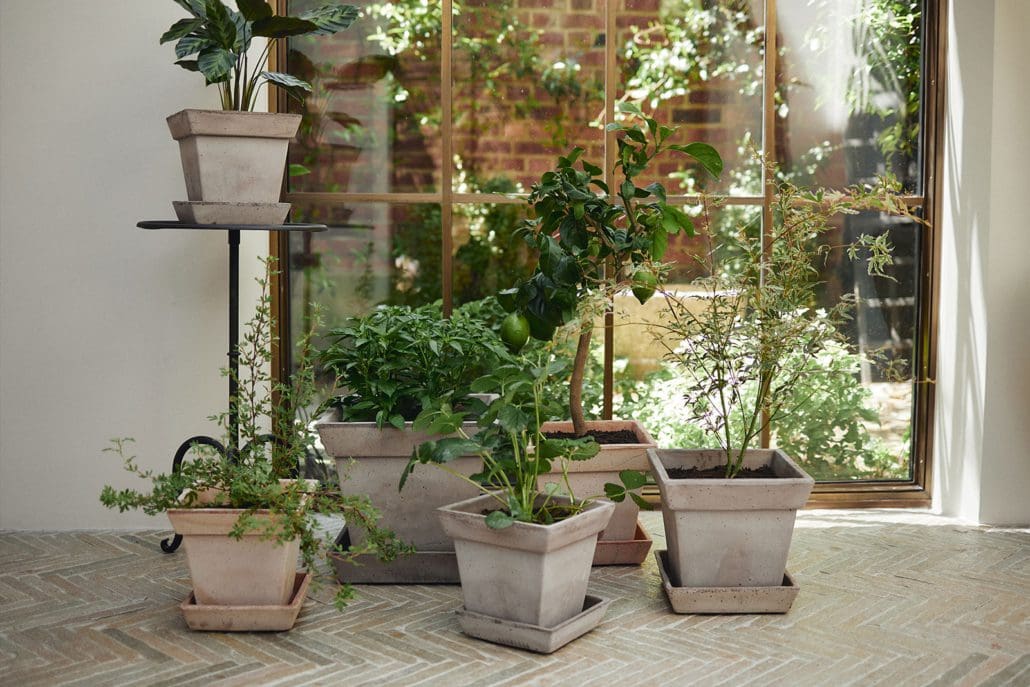 Bergs Potter Collections: Explore Our Pottery Designs and Planters