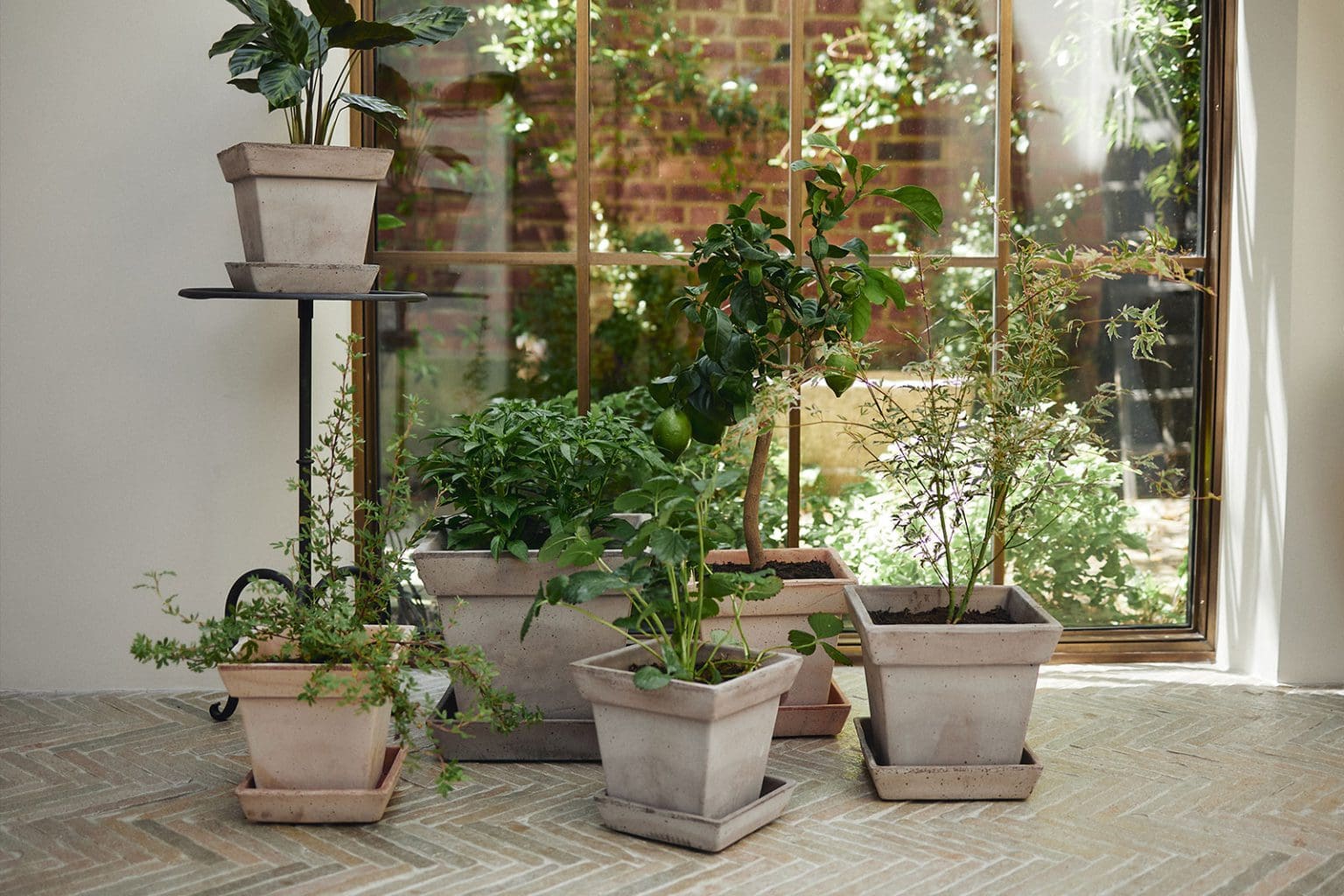Bergs Potter Collections: Explore Our Pottery Designs and Planters