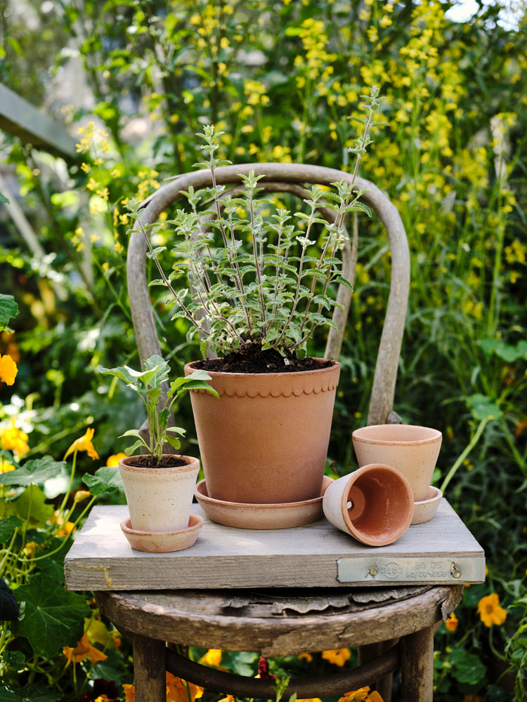 Helena Plant Pot – Soft Scalloped Elegance | Bergs Potter