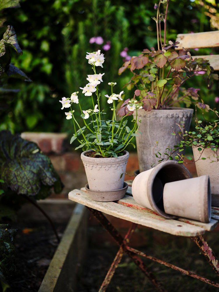 Københavner Plant Pot – A Royal Danish Classic | Bergs Potter