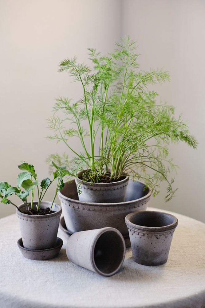 Københavner Plant Pot – A Royal Danish Classic | Bergs Potter