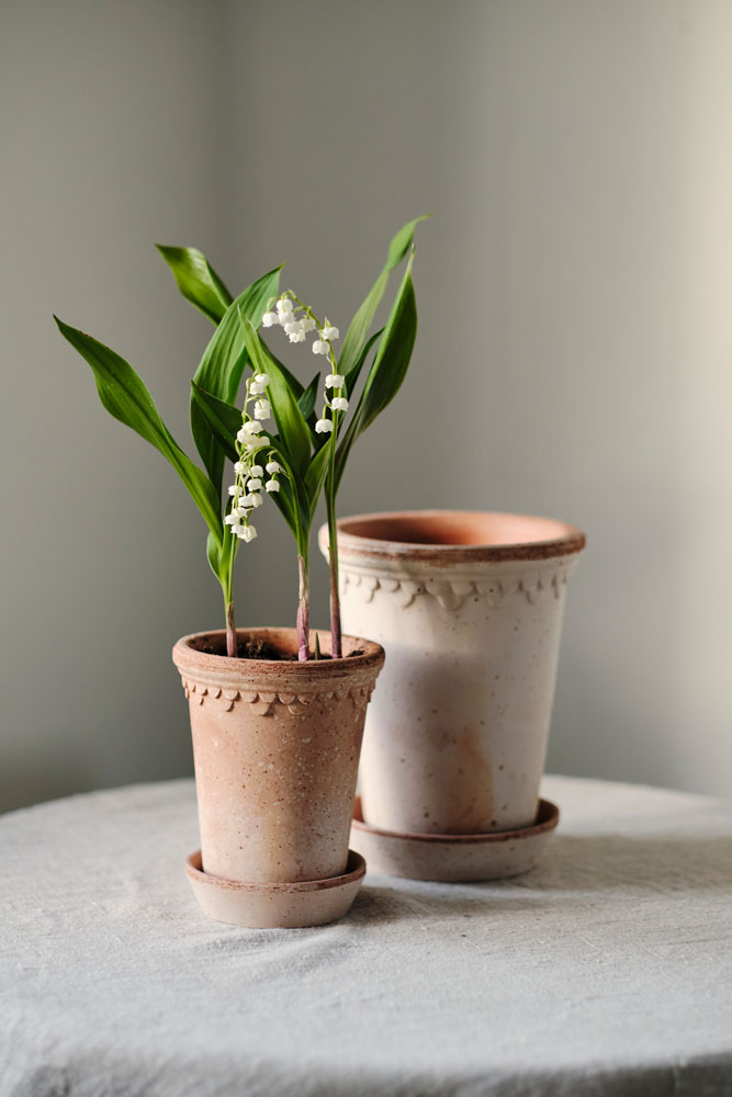 Københavner Plant Pot – A Royal Danish Classic | Bergs Potter