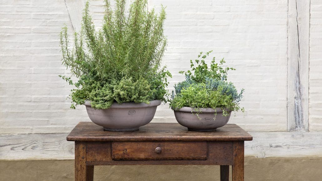 Erbe Terracotta Bowl: The Perfect Home for Your Herbs