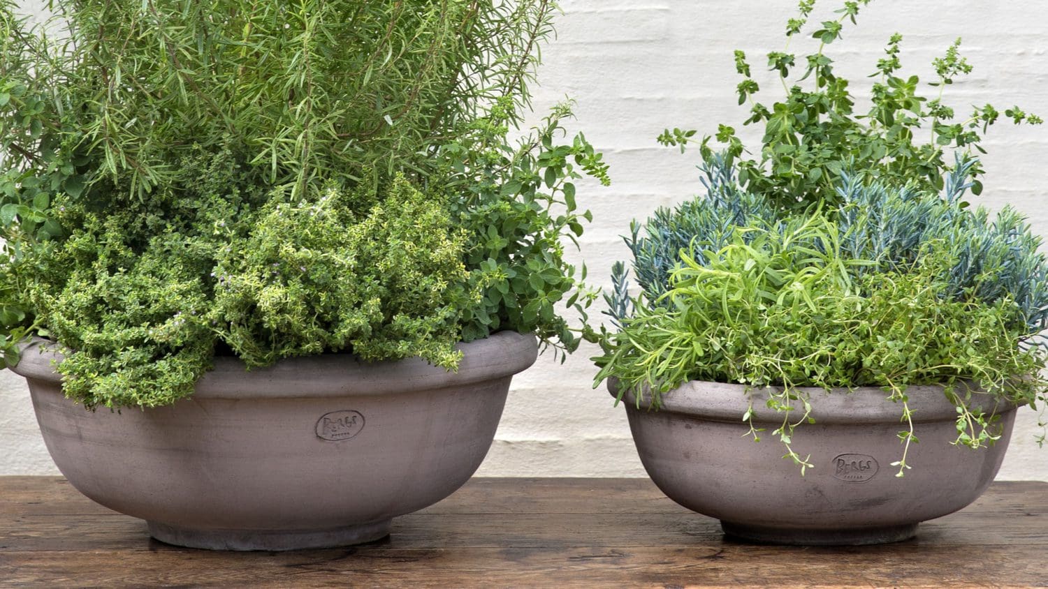 Erbe Terracotta Bowl: The Perfect Home for Your Herbs