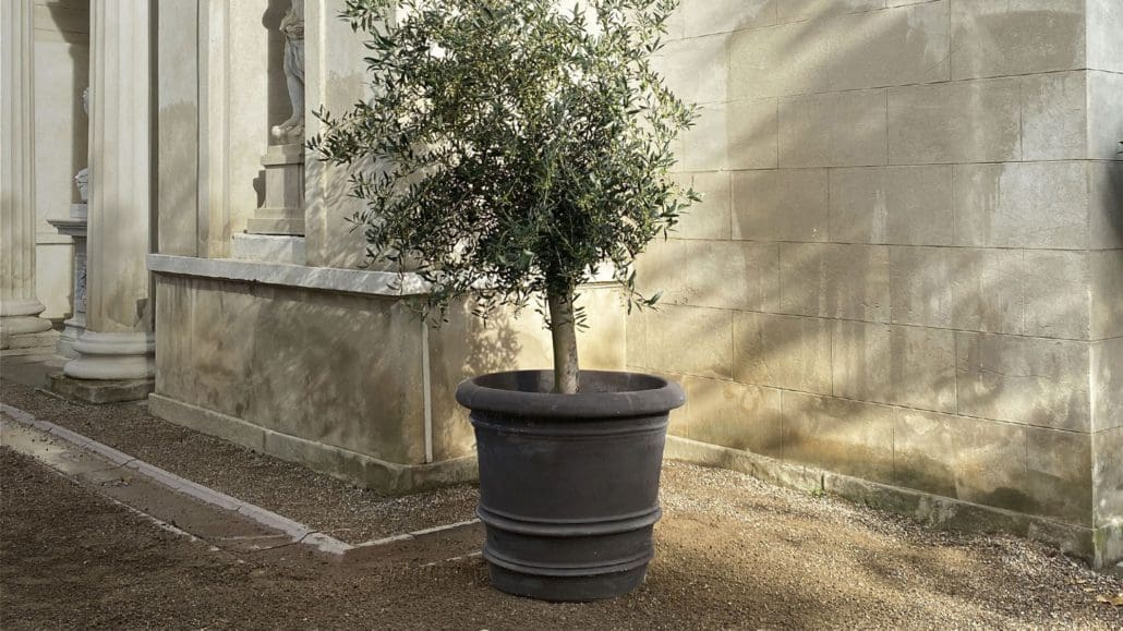 Lucca Plant Pots – Italian Elegance in Terracotta | Bergs Potter