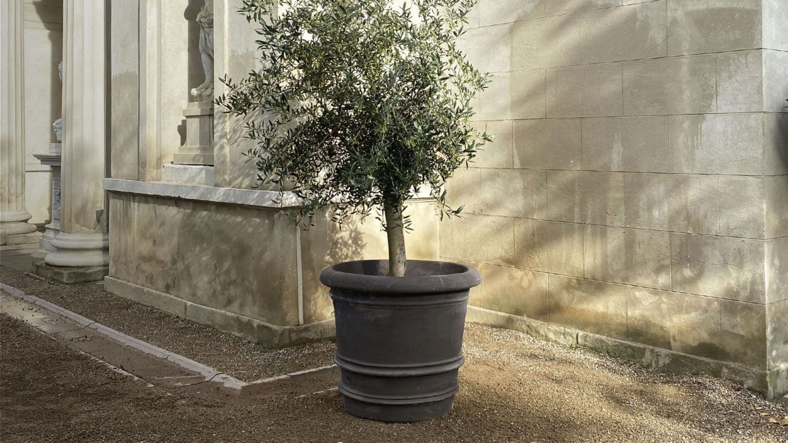 Lucca Plant Pots – Italian Elegance in Terracotta | Bergs Potter