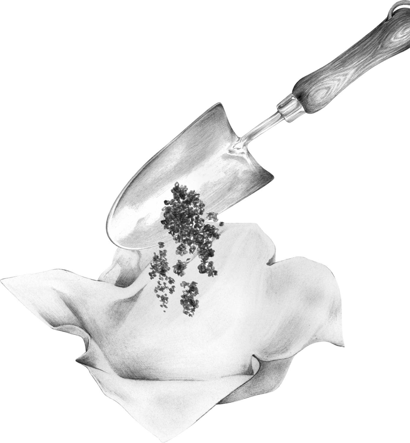 Bergs Potter Planting Guide: Help your plants thrive.