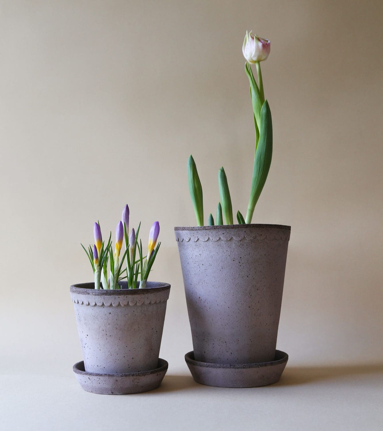 Awakening Spaces: Spring Gardening Inspiration | Bergs Potter