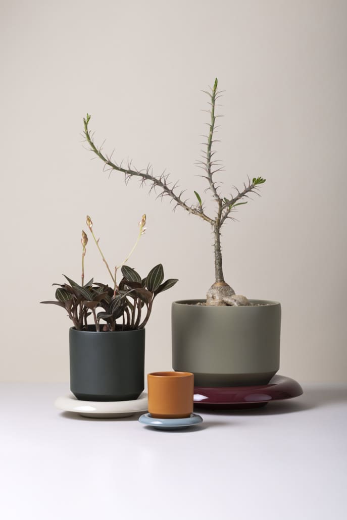 Lily Pot by Bergs Potter – Timeless Danish Design