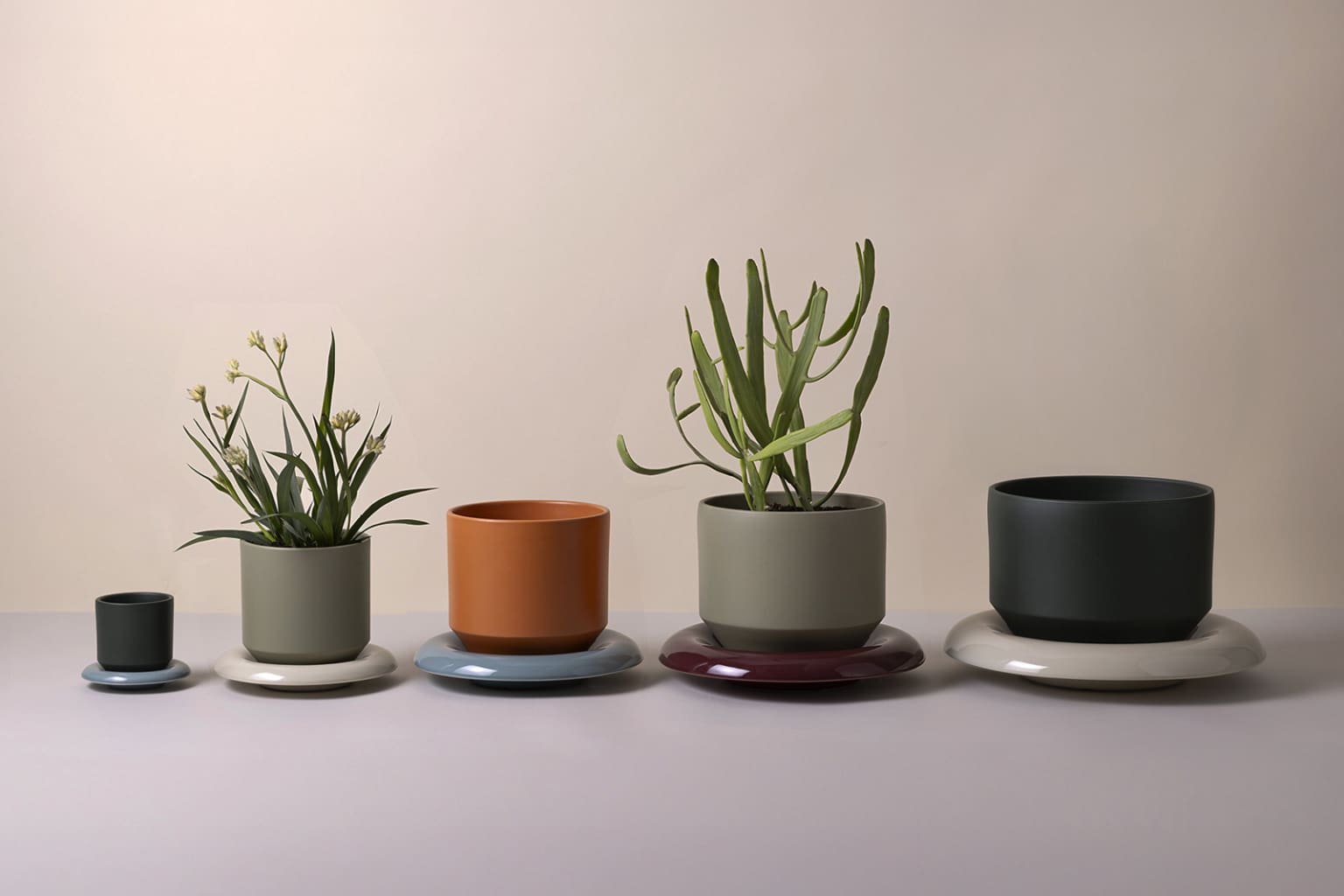 Bergs Potter Collections: Explore Our Pottery Designs and Planters